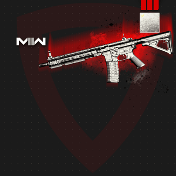 Modern Warfare Platinum Camo Boost, Call of Duty Platinum Camo Carry ...
