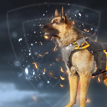 Buy TFD Fellow Companion Unlock — The First Descendant Fellow Unlock ...