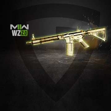 Modern Warfare Gold Camo Boost, Pro Carry Service Overgear