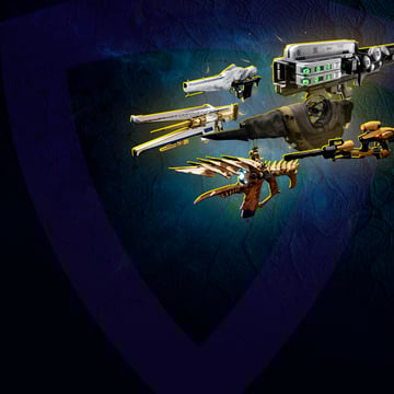 All raid exotic weapons bundle - Destiny 2 Weapons Carry | Overgear.com
