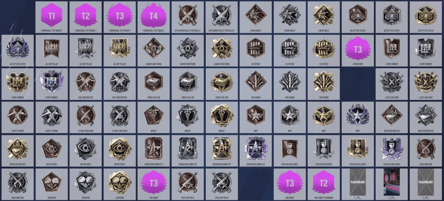 Buy Rainbow Six Siege X Badges Boosting, R6 X Badge Boost Service