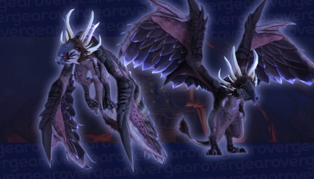 Dragonflight Season 1 Overview - Pro Tips