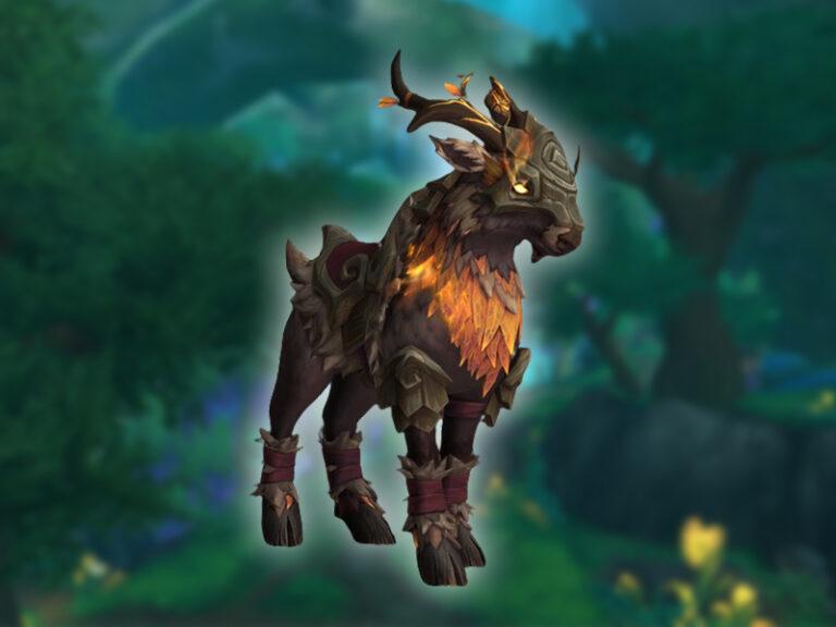 How to Get Dream Wardens Reputation - Pro Tips