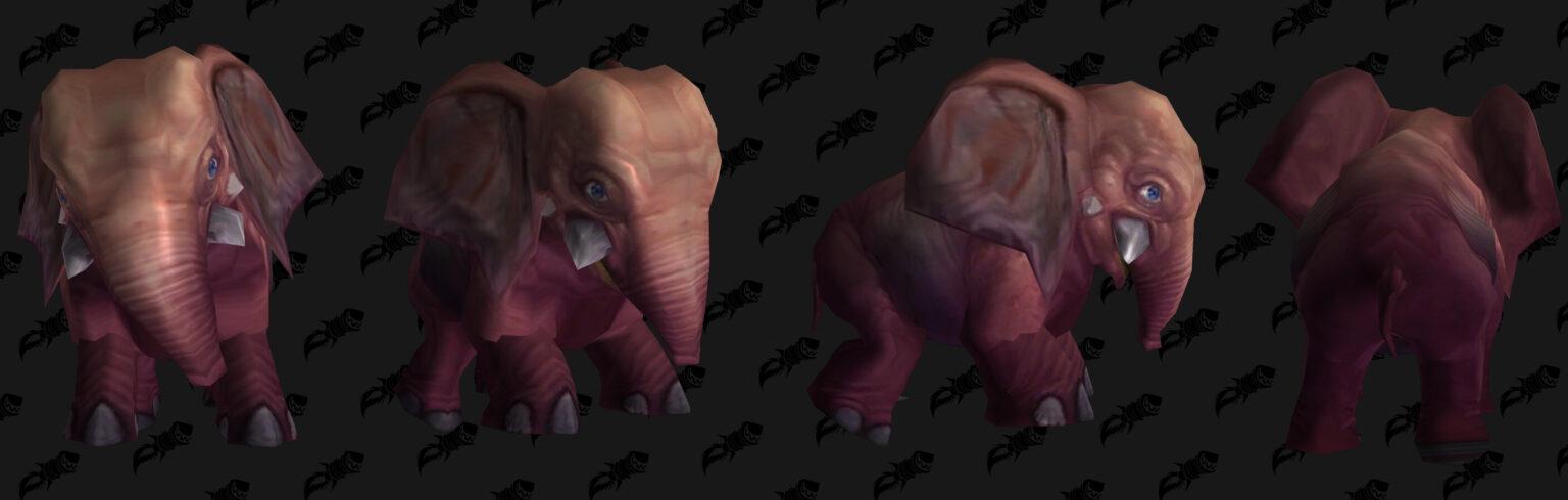 Brewfest Event Guide - Pro Tips