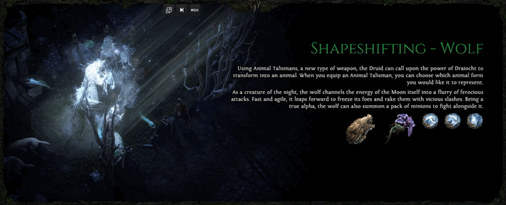 Path of Exile 2 Druid Guide - Pro Tips