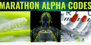 Marathon Alpha Codes - Overgear Guides